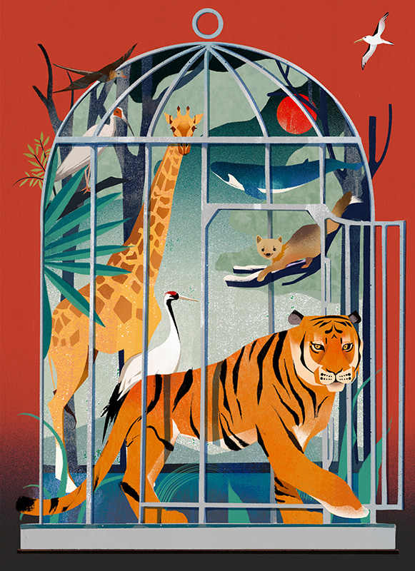 International Illustration Competition winners Japan Illustrators ...